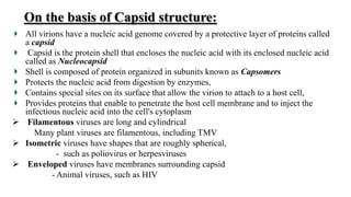 Virus classification by kainat ramzan | PPT