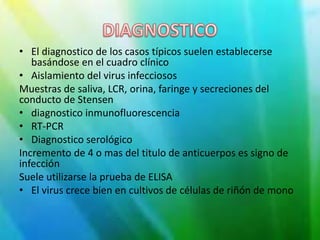 Virus de la parotiditis | PPTX