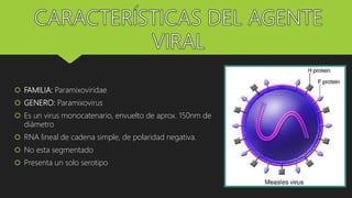 Virus de la parotiditis | PPTX