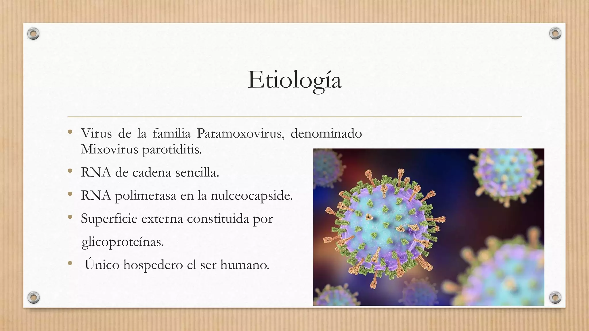 VIRUS DE LA PAROTIDITIS.pptx