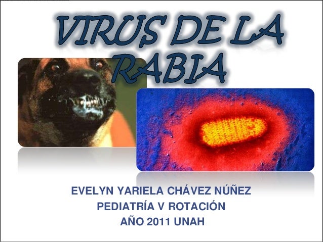 Virus de la rabia