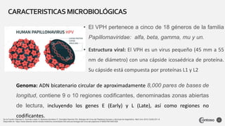 VIRUS DEL PAPILOMA HUMANO. GENERALIDADES.pptx