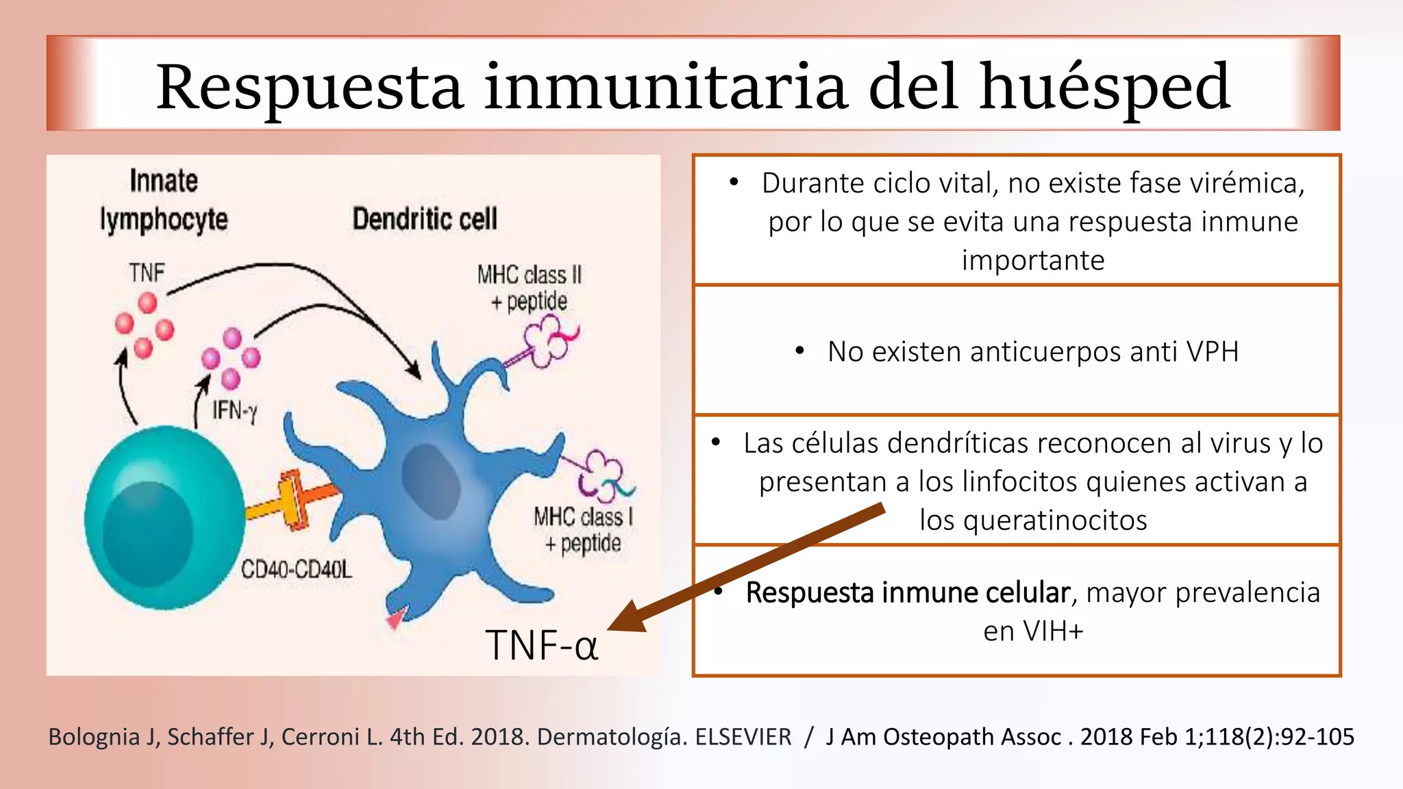Infección por el Virus del Papiloma Humano (VPH): Verrugas Cutáneas y ...