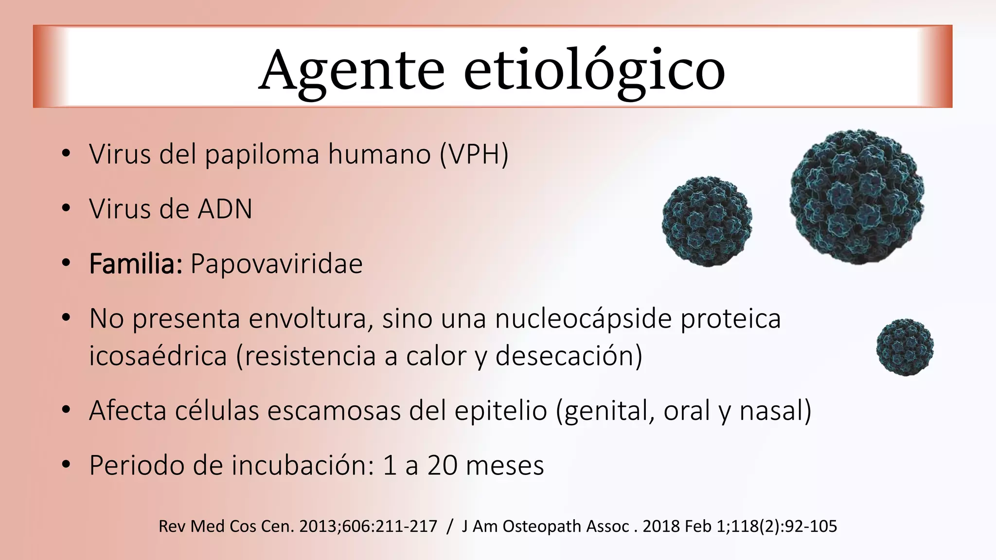Infección por el Virus del Papiloma Humano (VPH): Verrugas Cutáneas y ...