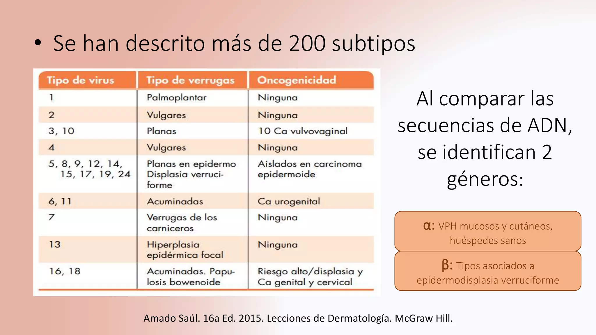 Infección por el Virus del Papiloma Humano (VPH): Verrugas Cutáneas y ...