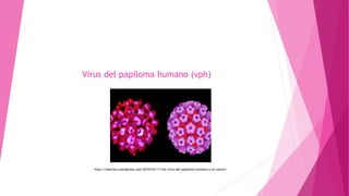 Virus del papiloma humano (vph) | PPTX