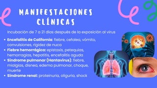 Comprehensive Overview of Marburg Virus and Hantavirus: Taxonomy ...