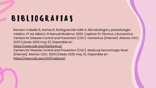 Comprehensive Overview of Marburg Virus and Hantavirus: Taxonomy ...