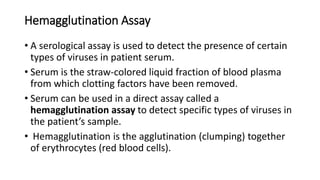 Virus detection identification | PPTX | Infectious Diseases | Diseases ...