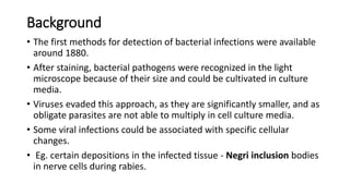 Virus detection identification | PPTX