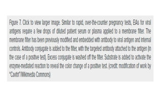 Virus detection identification | PPTX