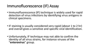 Virus detection identification | PPTX