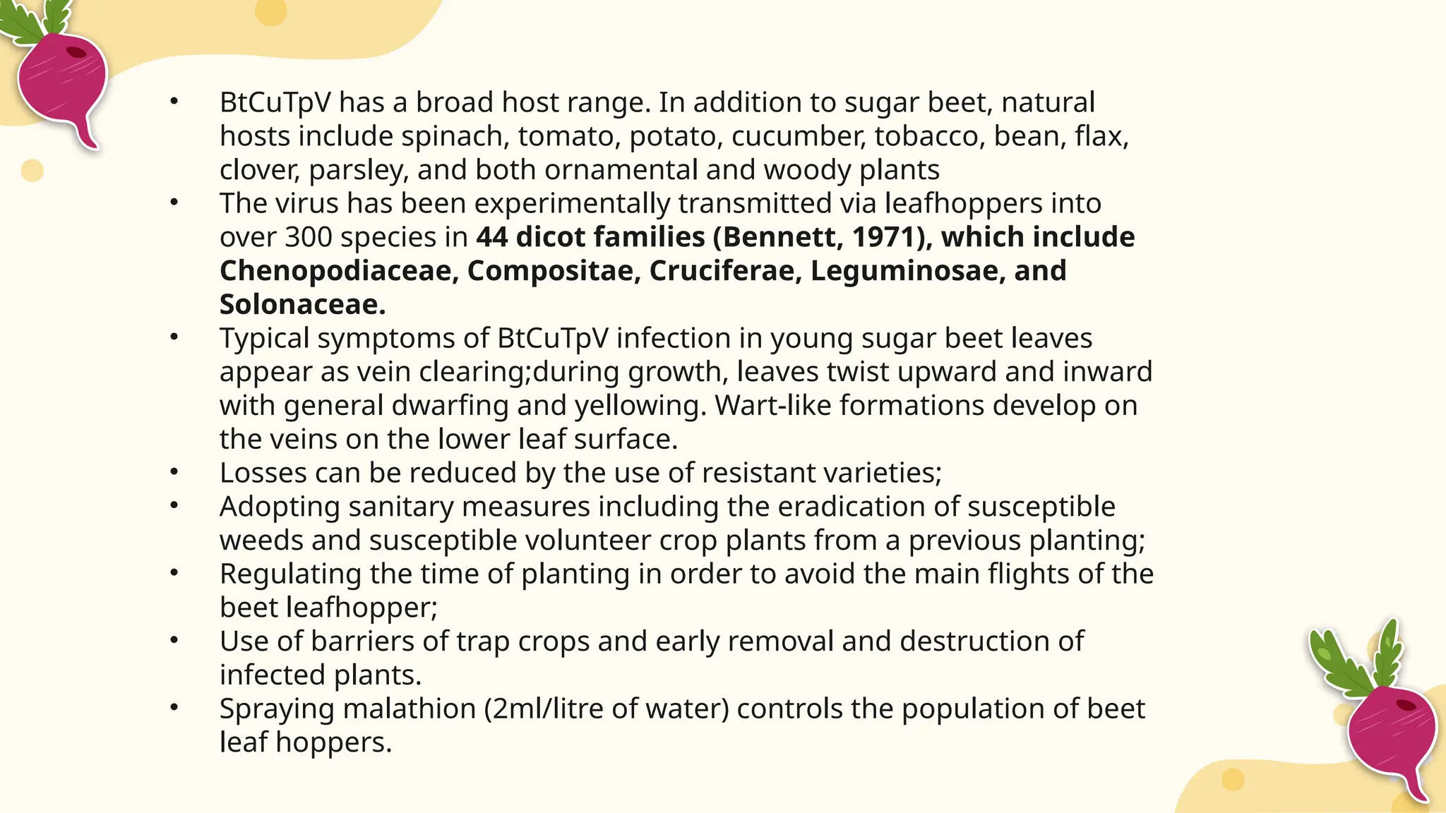 virus diseases of sugar beet (virology) .pptx