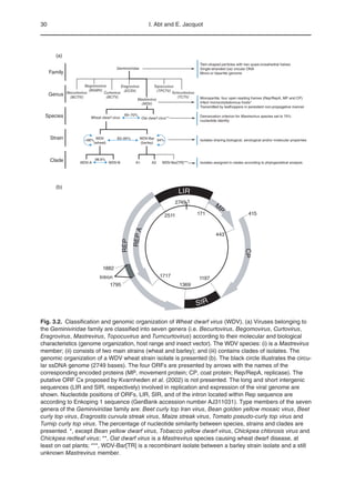 Virus diseases of tropical and subtropical crops.pdf | Agriculture ...