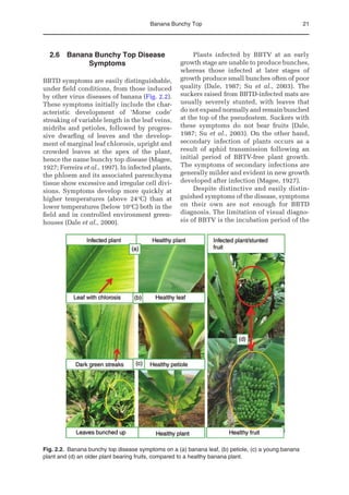 Virus diseases of tropical and subtropical crops.pdf