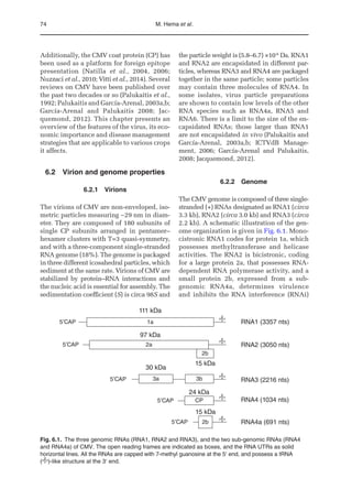 Virus diseases of tropical and subtropical crops.pdf