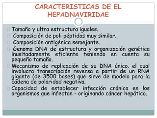 Virus dsdna rt | PPT