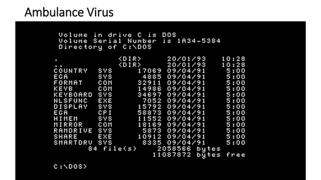 virus and antivirus | PPTX