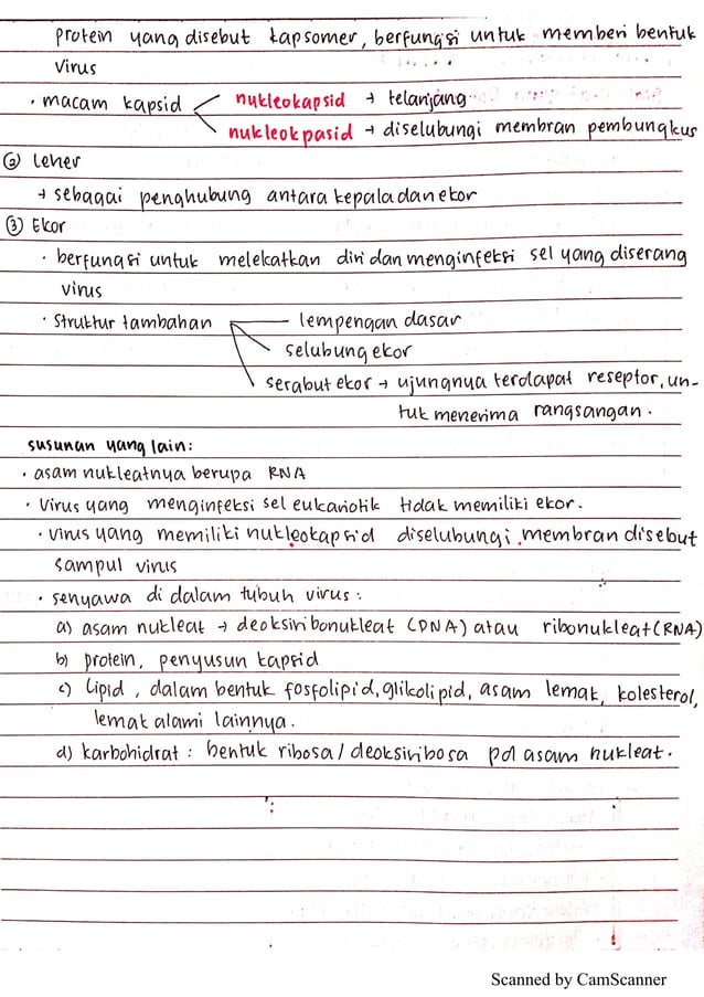 Rangkuman Materi Virus kelas X SMA Buku The King UTBK | PDF