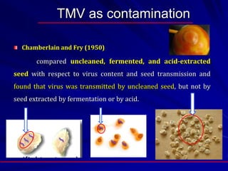 Virus entry in to seed | PPT