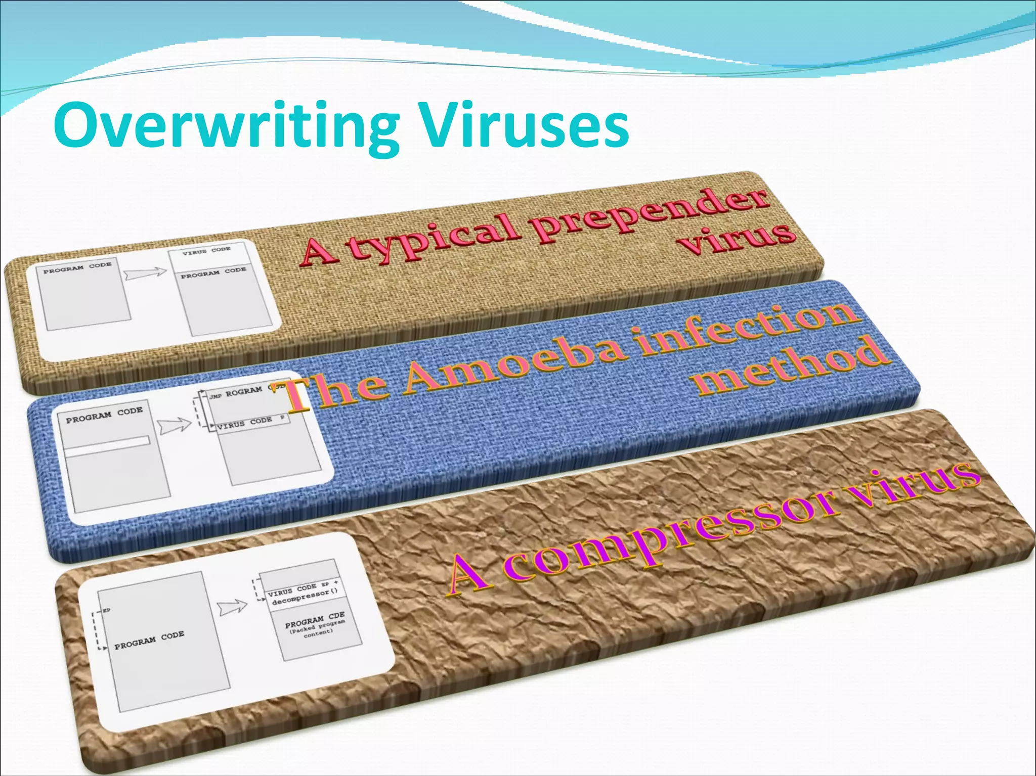 Viruses and Anti-Viruses | PPT