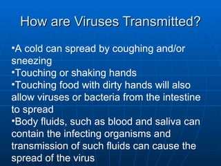 Viruses | PPT | Biological Sciences | Science