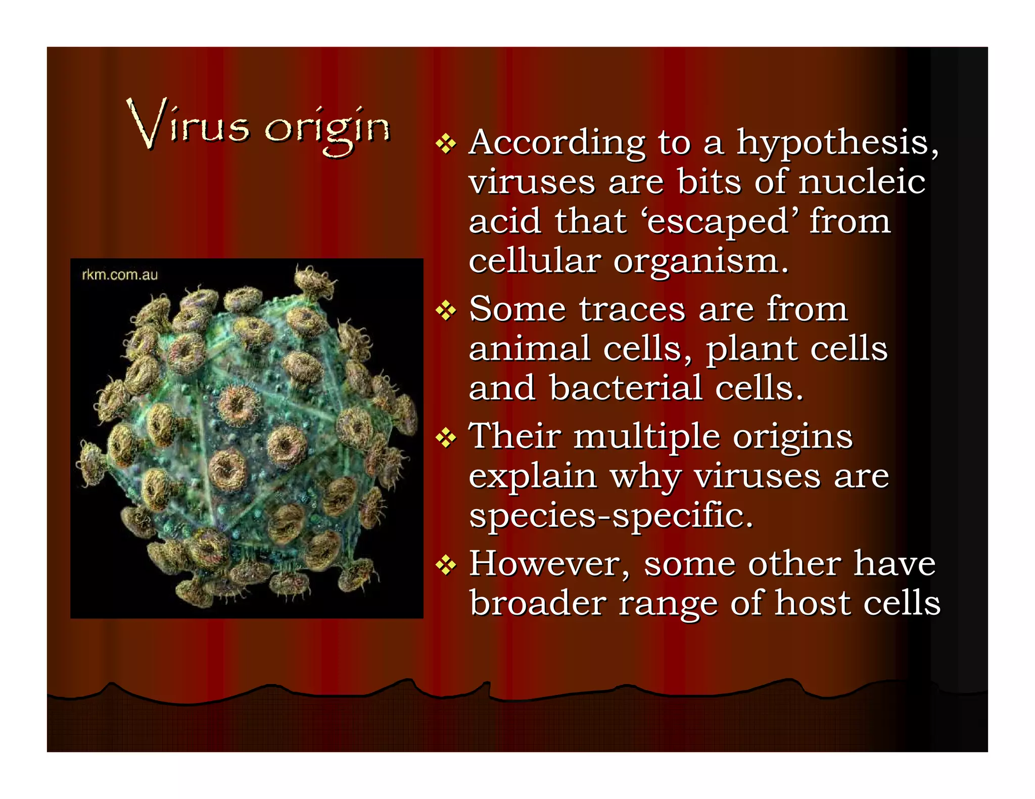 Viruses | PDF