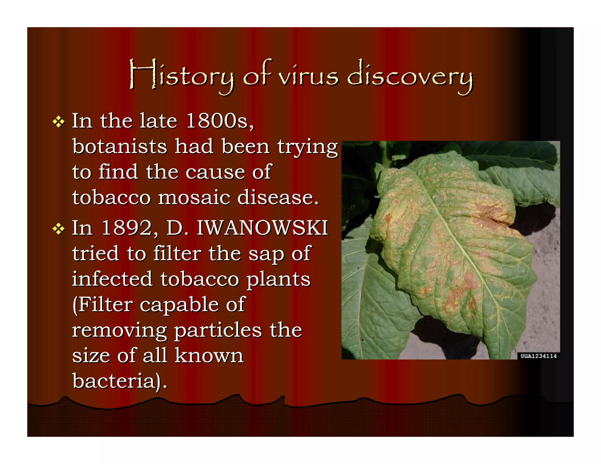 Viruses | PDF