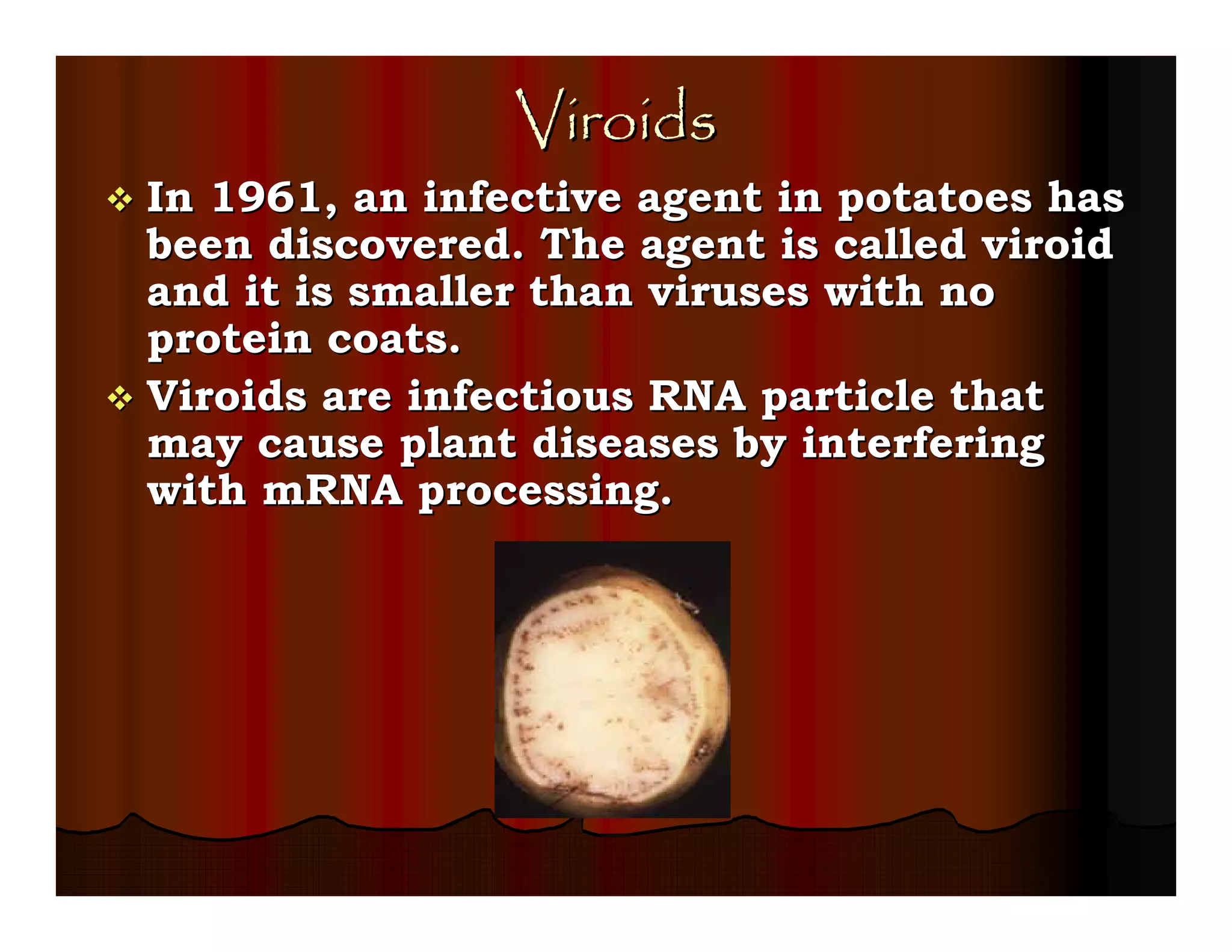 Viruses | PDF