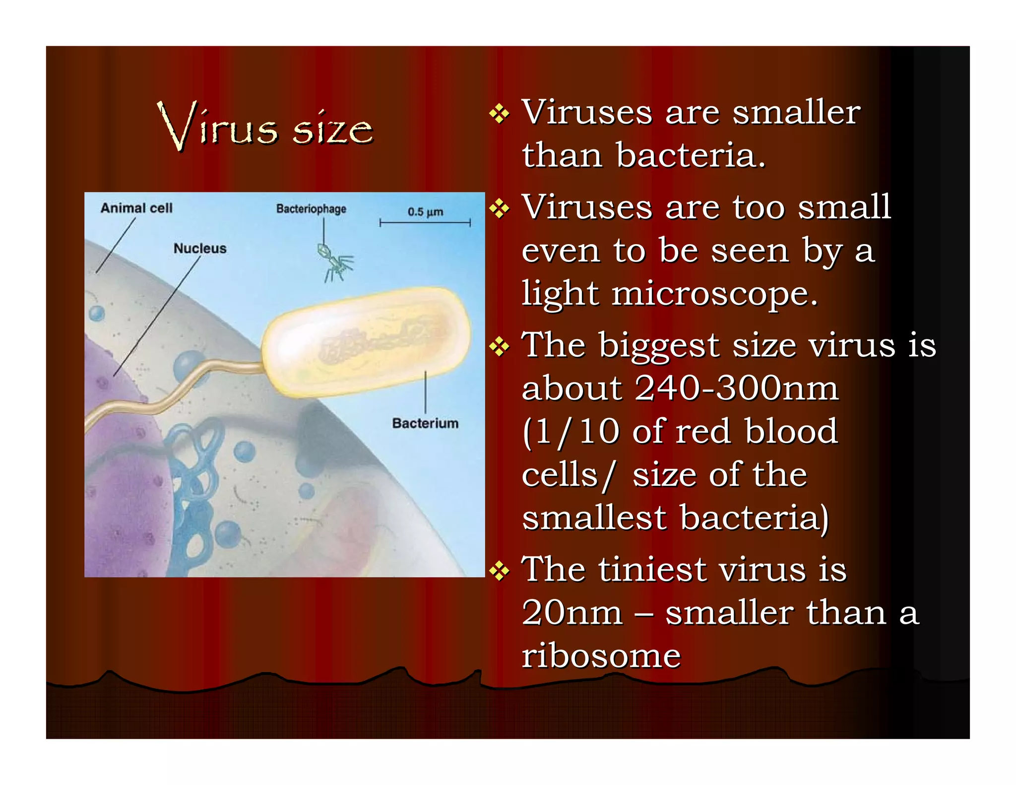 Viruses | PDF