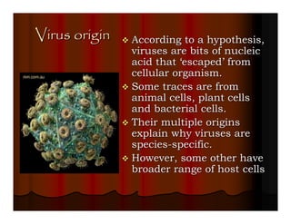 Viruses | PDF