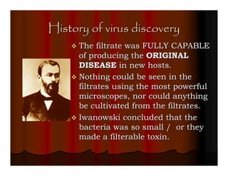 Viruses | PDF