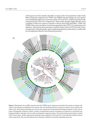 viruses-13-02322.pdf | Infectious Diseases | Diseases and Conditions