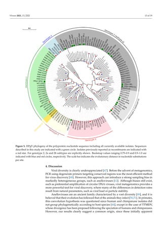 viruses-13-02322.pdf | Infectious Diseases | Diseases and Conditions