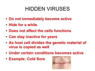 Viruses | ODP