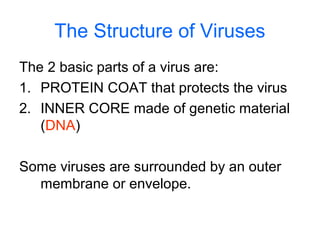 Viruses | PPT