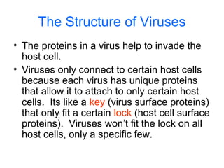 Viruses | PPT