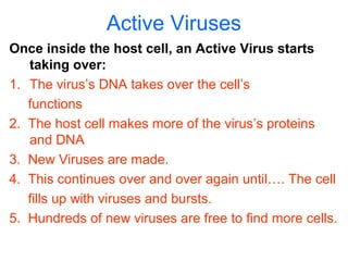 Viruses | PPT