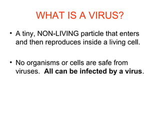 Viruses | PPT