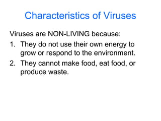 Viruses | PPT