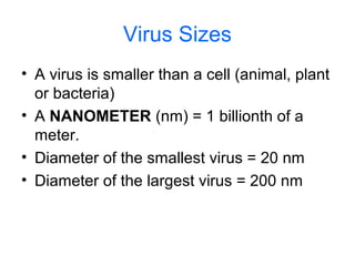 Viruses | PPT