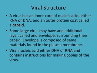 Viruses | PPTX