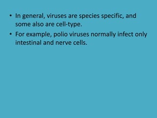 Viruses | PPTX