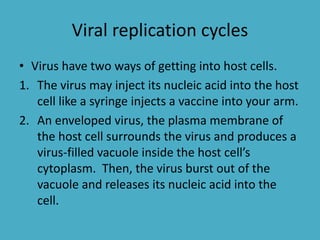 Viruses | PPT