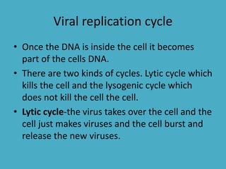 Viruses | PPTX