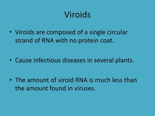 Viruses | PPTX