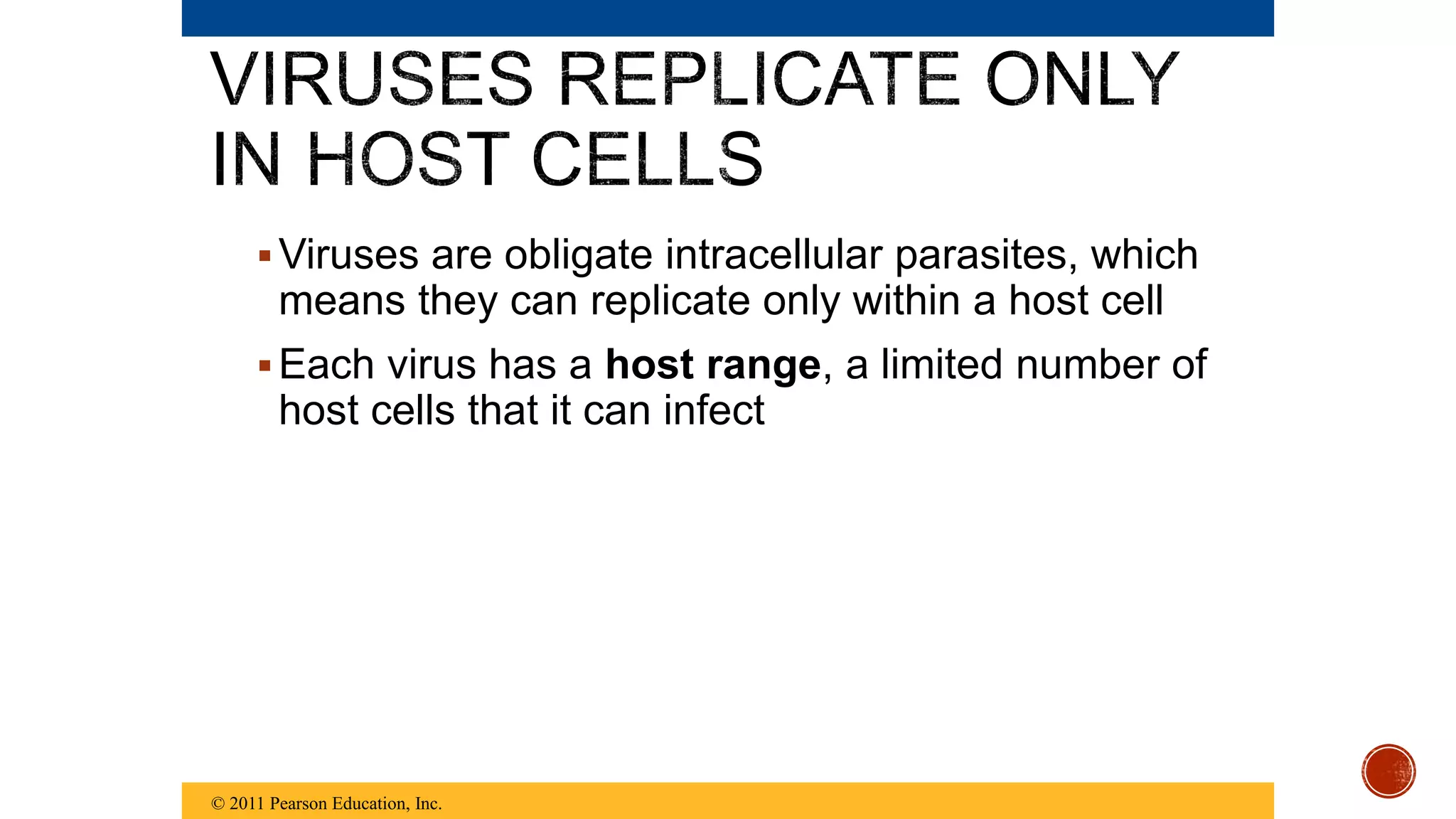 Viruses-size,shape & types | PPTX