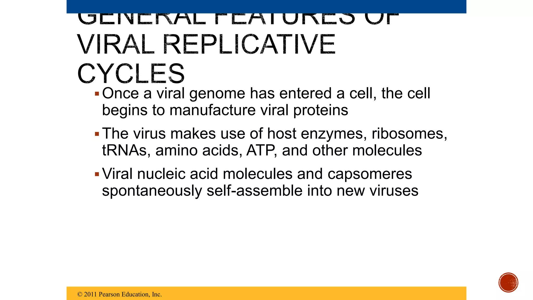 Viruses-size,shape & types | PPTX