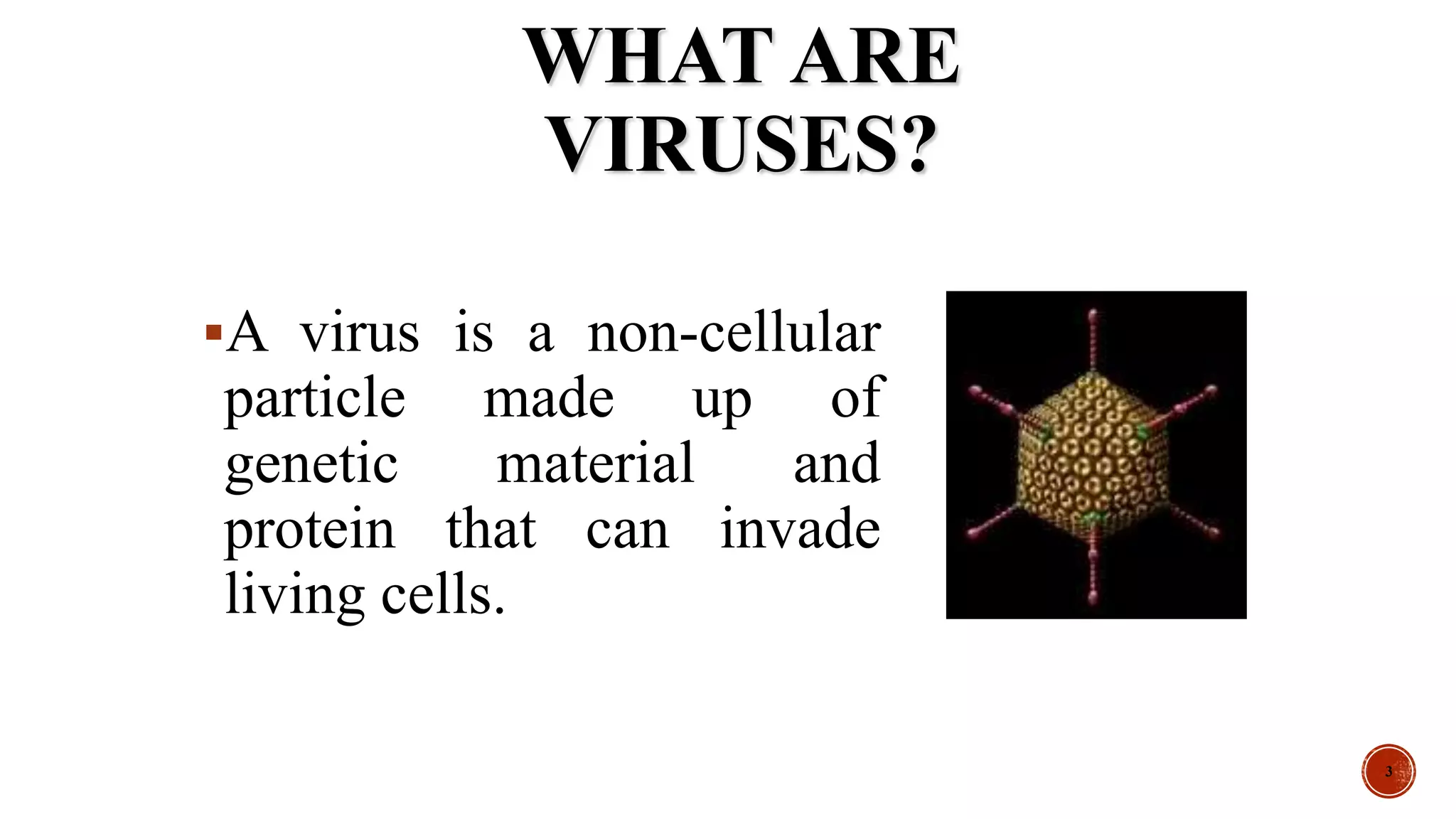 Viruses-size,shape & types | PPTX