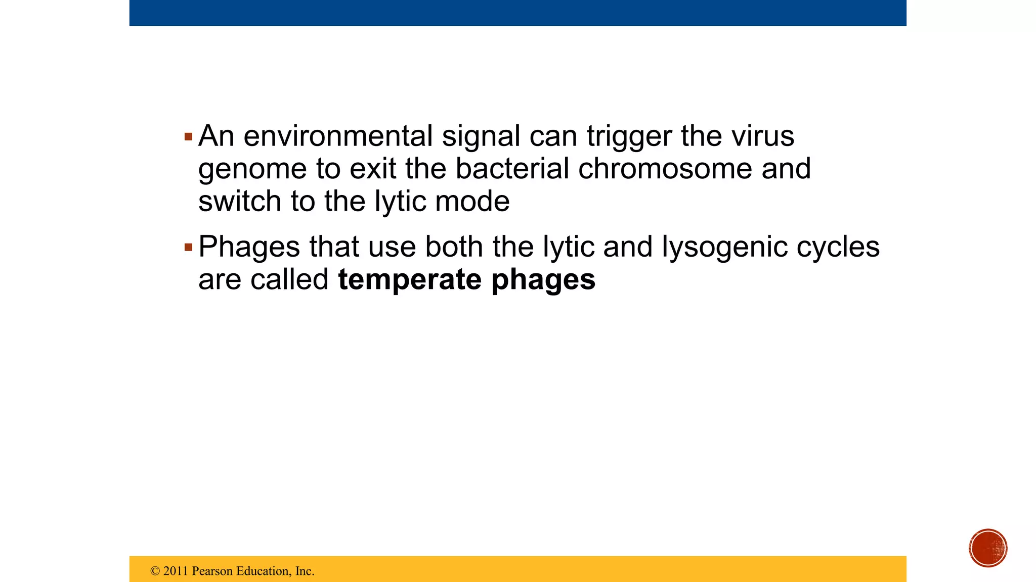 Viruses-size,shape & types | PPTX
